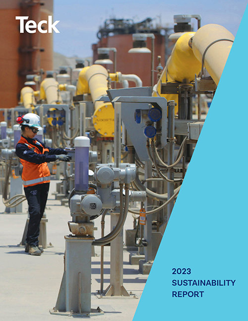 Sustainability Report and Disclosure Portal